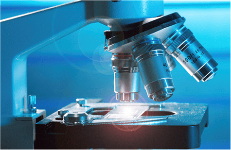 EERN Research, Insights, and Events - San Francisco Fed