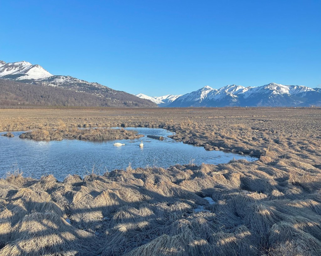 The Alaska region of the San Francisco Fed.